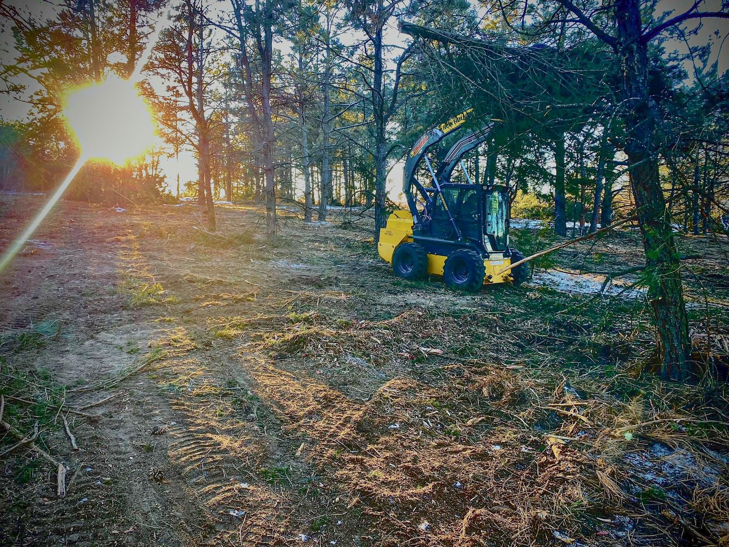 Testimonial: Disc Mulcher Eliminates Eastern Red Cedars