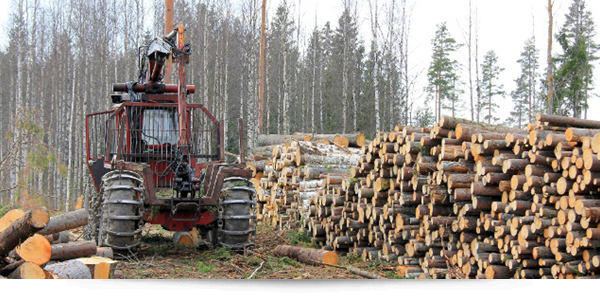 Revolutionizing Logging: New Solutions for Efficiency