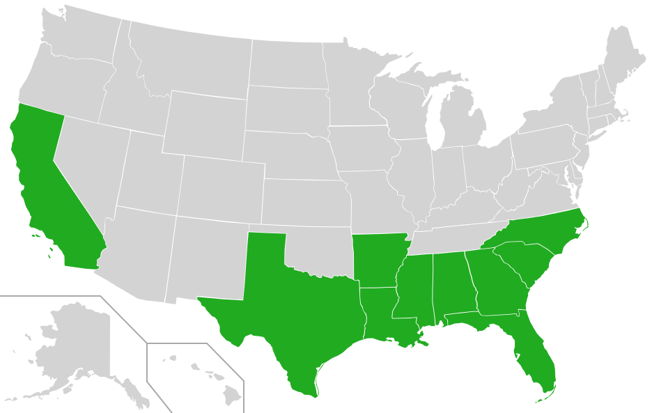 Conquering Chinese Tallow - An Invasive Species In The South