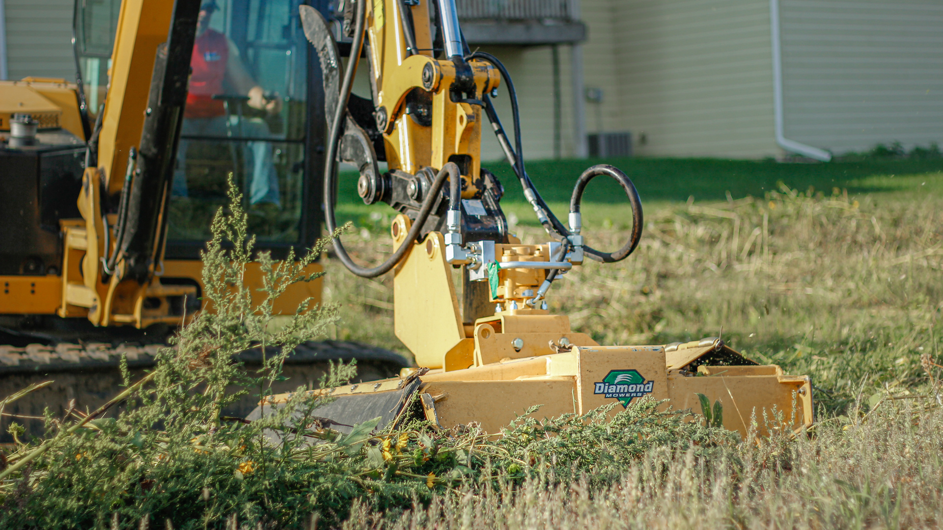 Efficient Vegetation Management for Effective Storm Cleanup