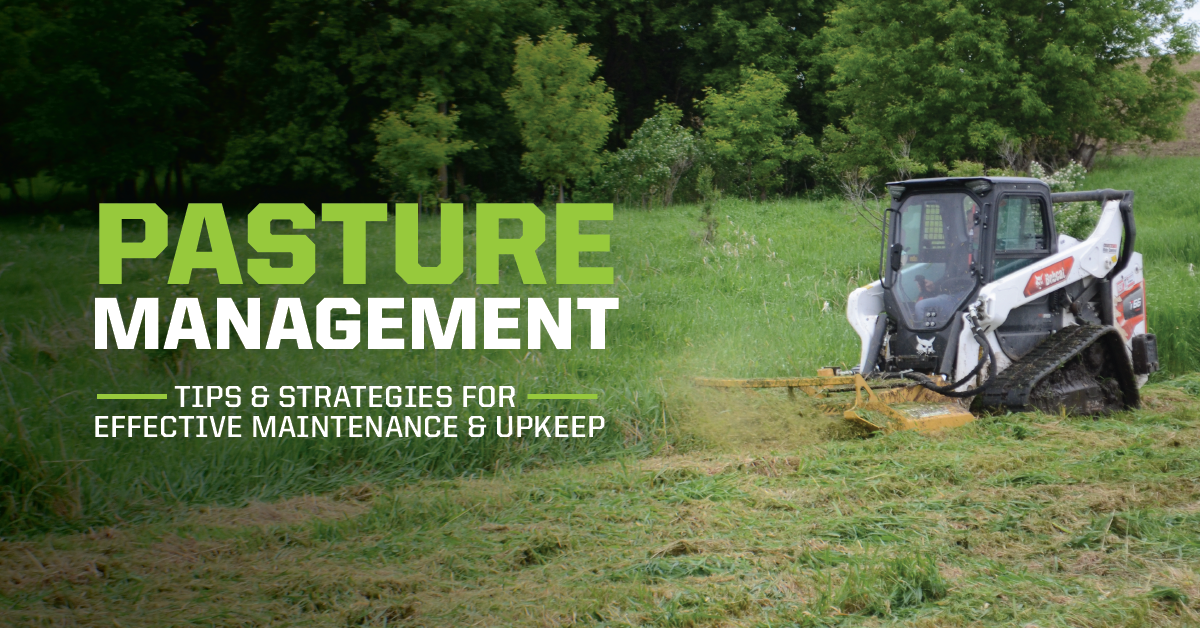 Pasture Management: Tips for Effective Maintenance & Upkeep