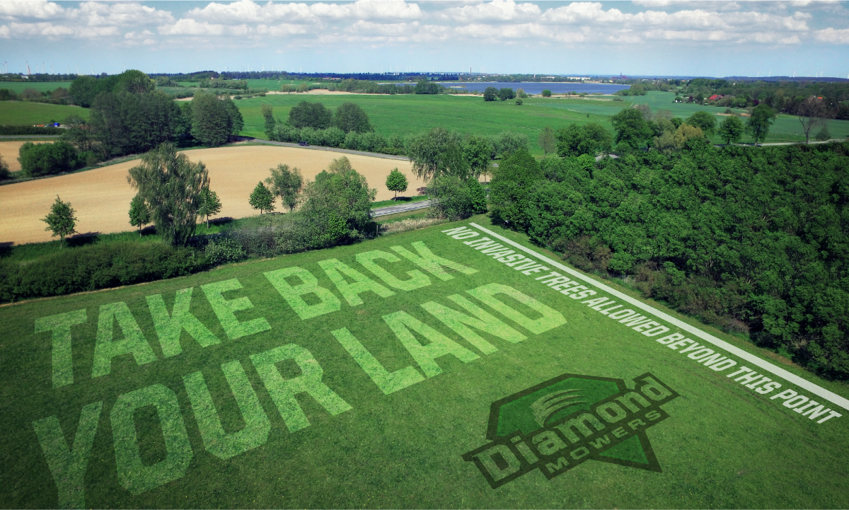 Methods of Land Clearing - Best Ways to Clear Your Property